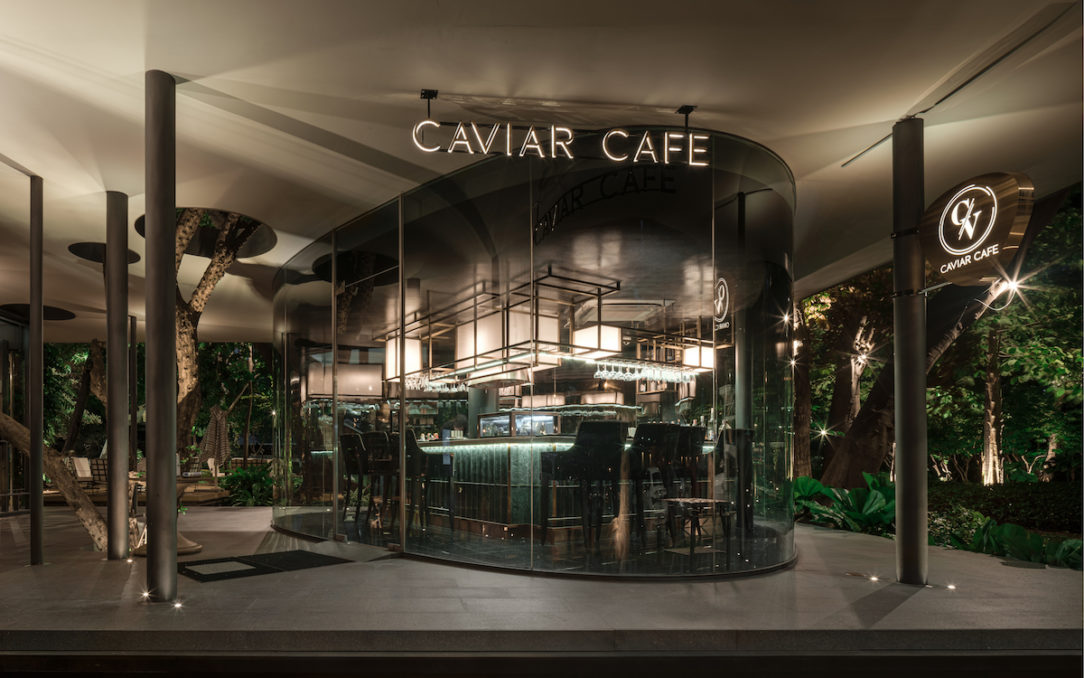 Kaviareň v objatí stromov. Dizajn Caviar Cafe v Bangkoku umocňuje ...