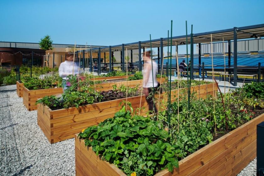 Verejná zelená strecha: 1. miesto | ASB.sk