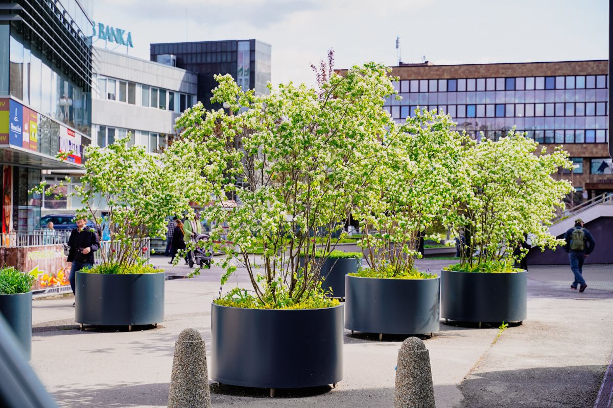 Žilina reaguje na zmenu klímy a mení sa k lepšiemu. Na zelené opatrenia ...