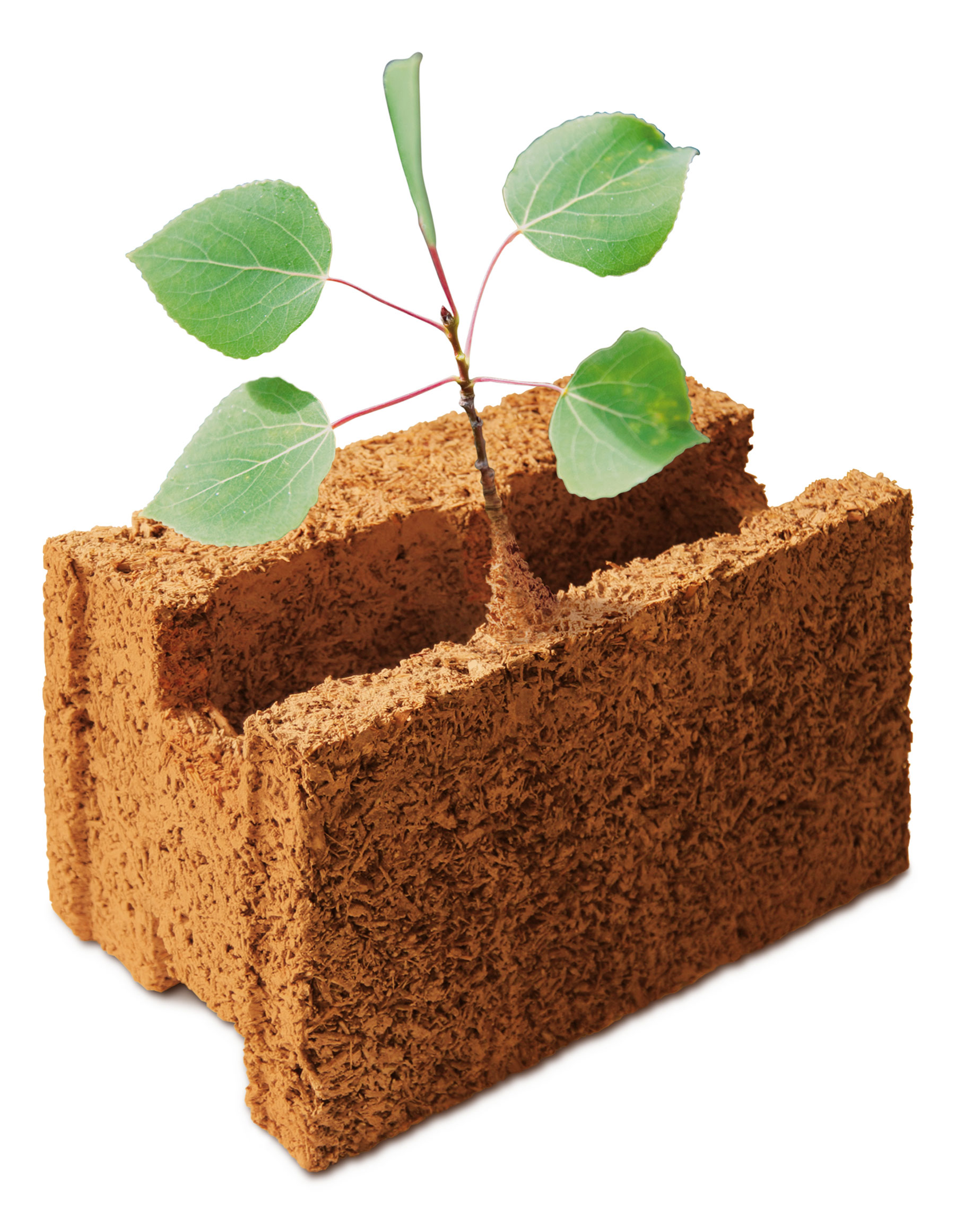 Leier Durisol – stavebný systém pre zdravé bývanie | ASB.sk