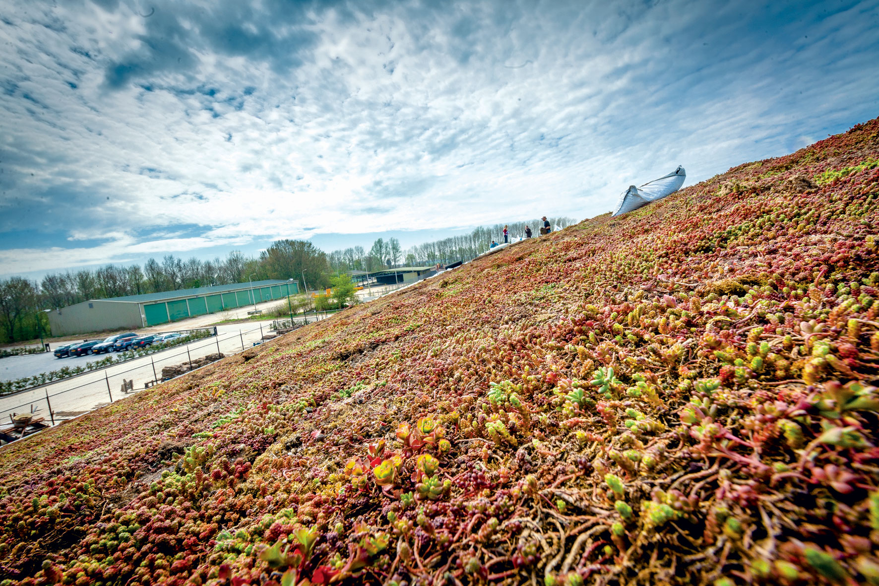 Zelená strecha | ASB.sk